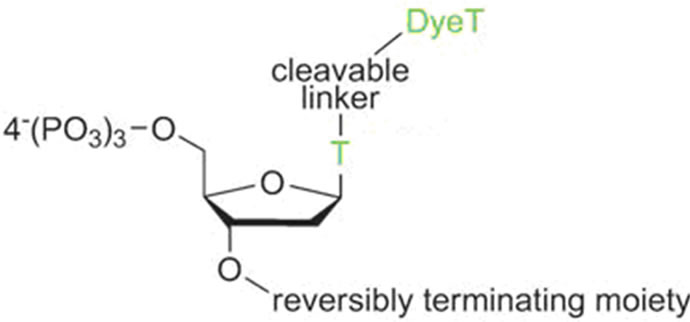 高通量DNA合成测序化学研究进展 Advance in Sequence Chemistry of High-Throughput DNA ...