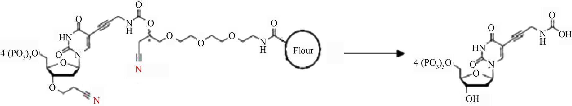 高通量DNA合成测序化学研究进展 Advance in Sequence Chemistry of High-Throughput DNA ...