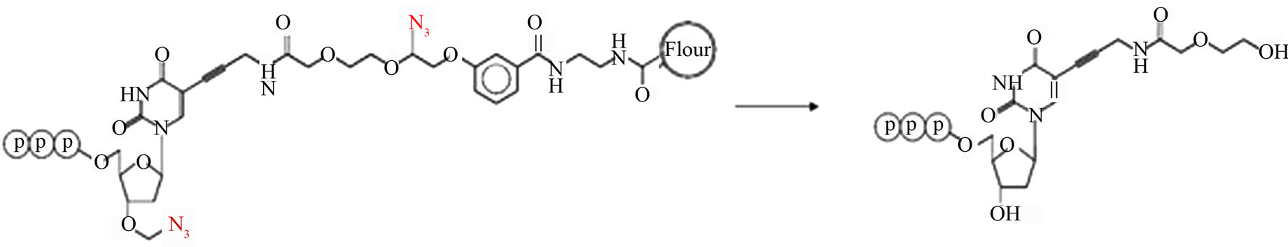 高通量DNA合成测序化学研究进展 Advance in Sequence Chemistry of High-Throughput DNA ...