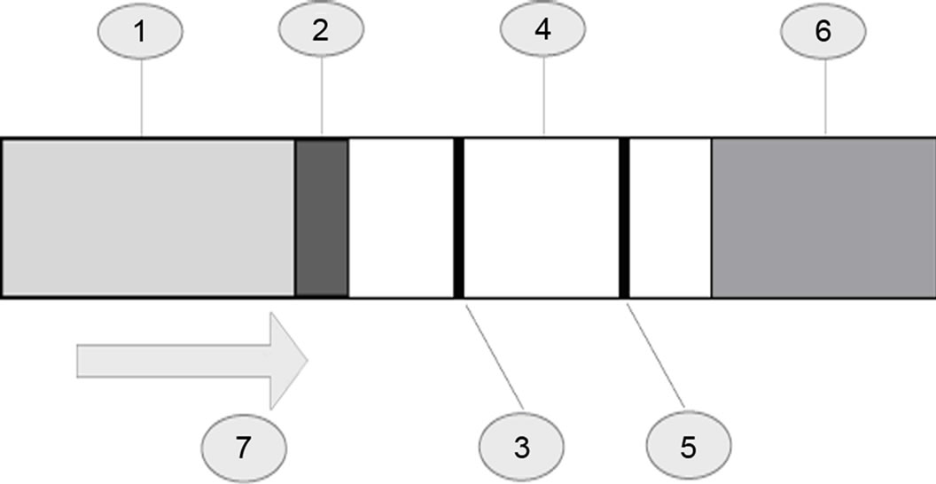 口腔幽门螺杆菌尿素酶的检测及其临床意义 The Clinical Value of Oral H. Pylori Antigen Test