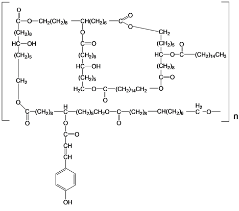 长丝杜仲胶的生物酶提取酶解作用——杜仲叶角质层的酶解 The Enzymolysis in the Enzymatic Degradation ...