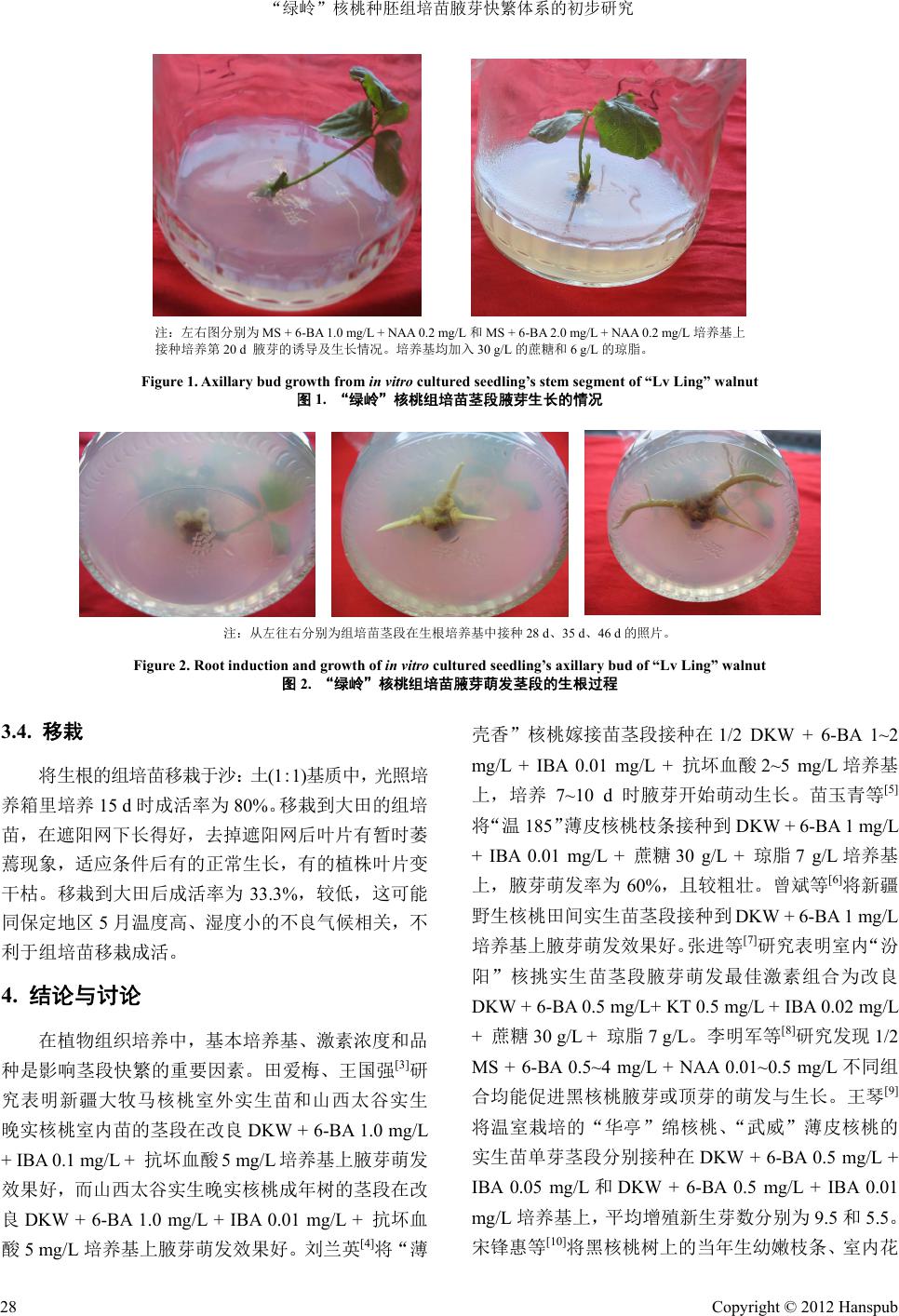 “绿岭”核桃种胚组培苗腋芽快繁体系的初步研究 Rapid Propagation of “Lv Ling” Walnut (Juglans ...
