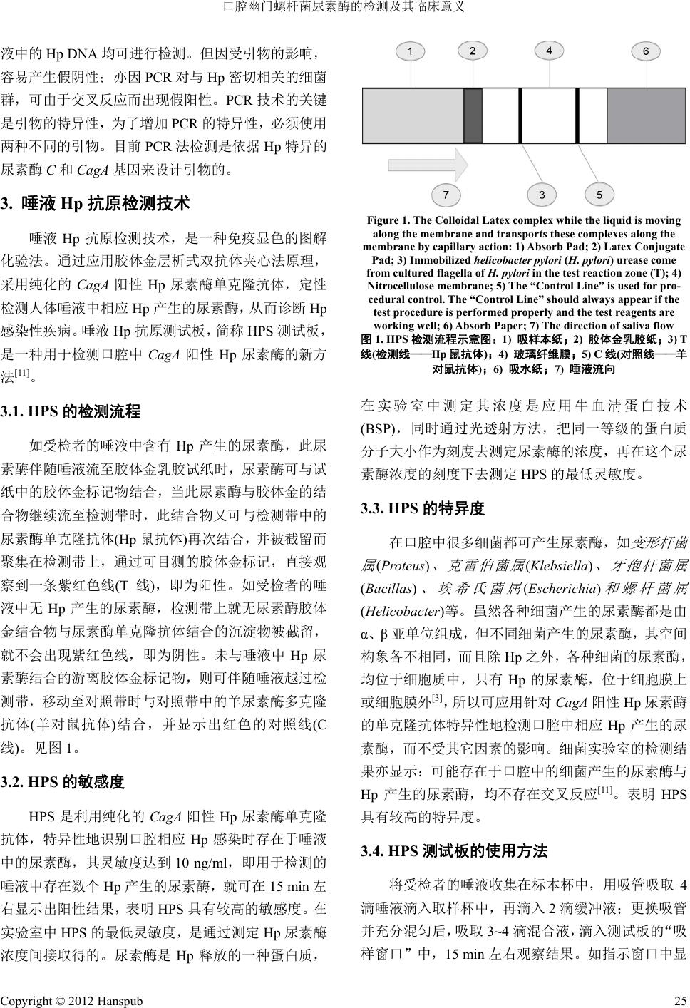 口腔幽门螺杆菌尿素酶的检测及其临床意义 The Clinical Value of Oral H. Pylori Antigen Test