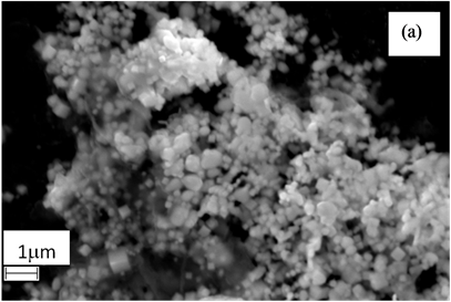 不同形貌纳米镍粉的制备 Preparation of Nanoparticles of Metallic Nickel with ...